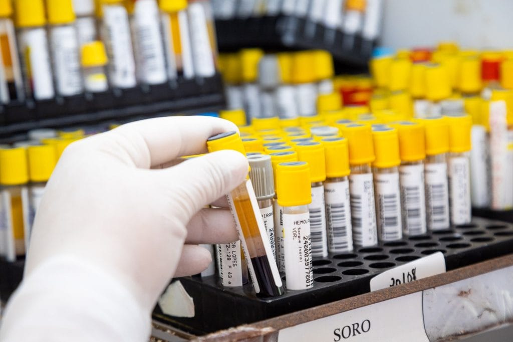 Hemograma Completo: O Guia Para Entender Seus Exames | Hemolab ...